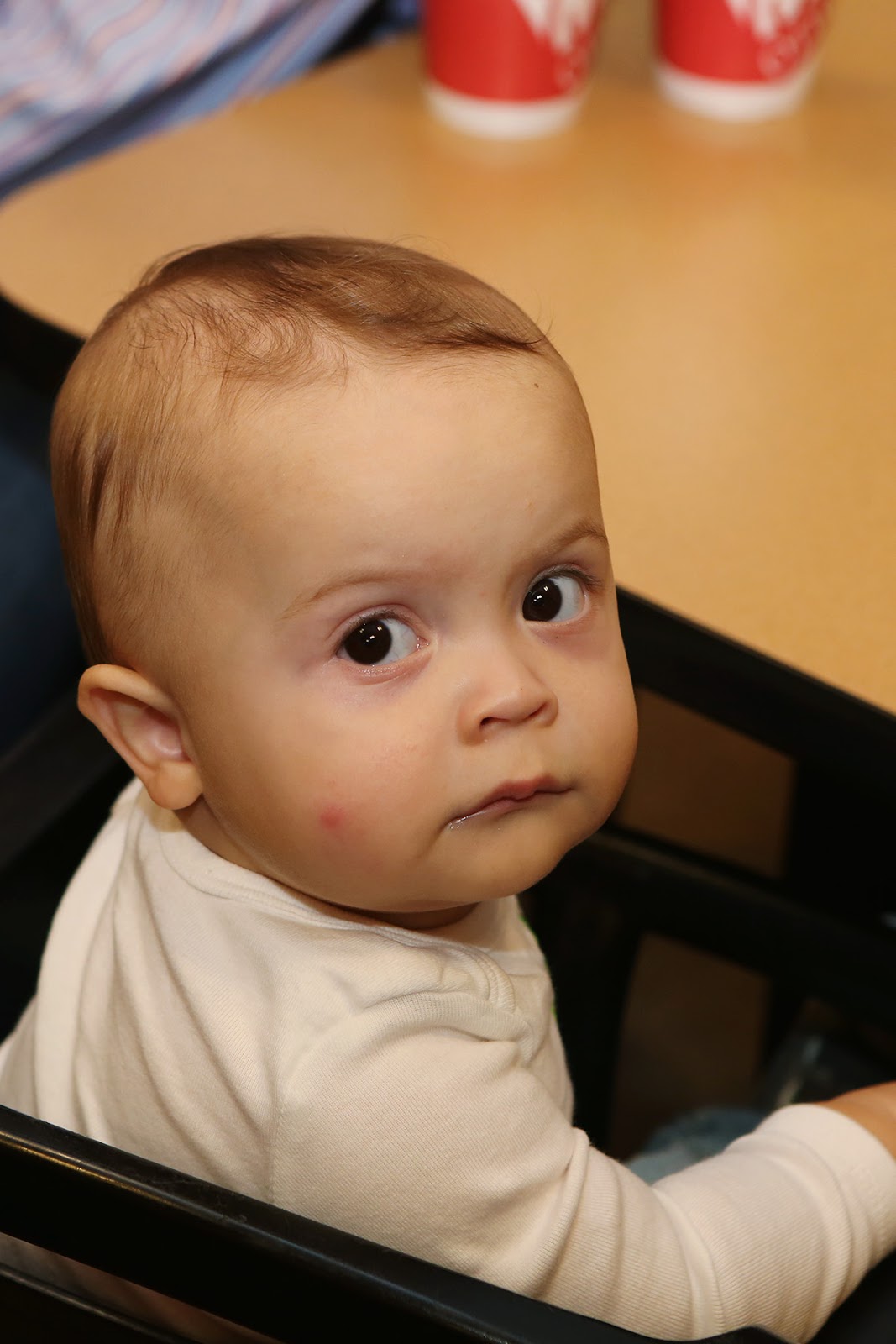 Chicken For Cohen Syndrome 2016 (total raised and pictures!) | A Joy ...