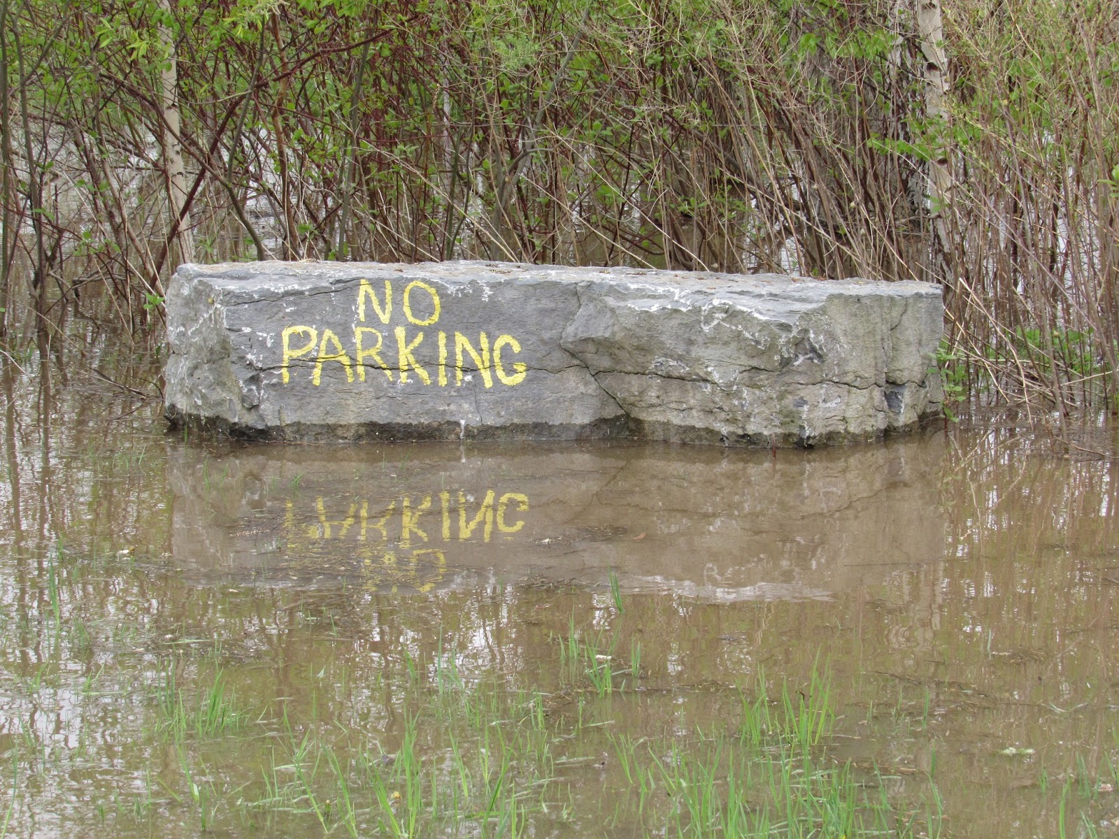 2020 Doug Photo Blog: Lake Ontario Watershed Sign