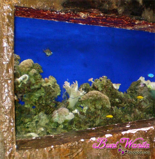 Tempat Menarik di Labuan : Jalan-Jalan Muzium Marin / Laut - Buat Wanita