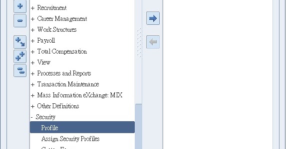 Arthur-Work: Oracle EBS: How to create/update security profile