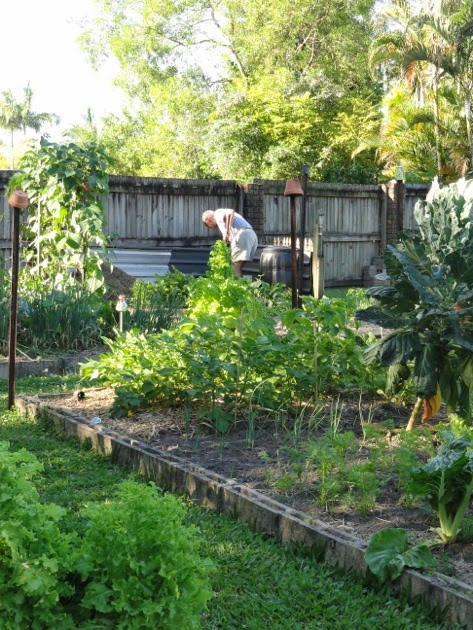 Reusing and recycling | down to earth