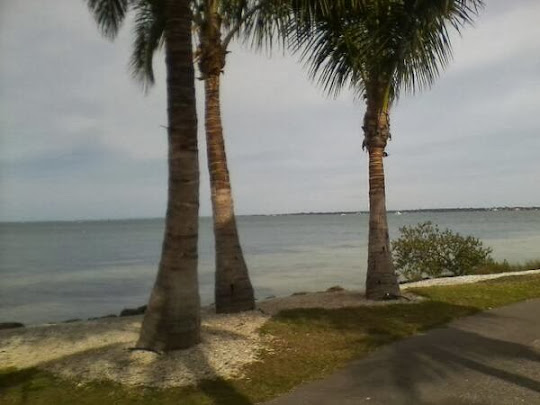 Report from the Florida Zone: Bird Key