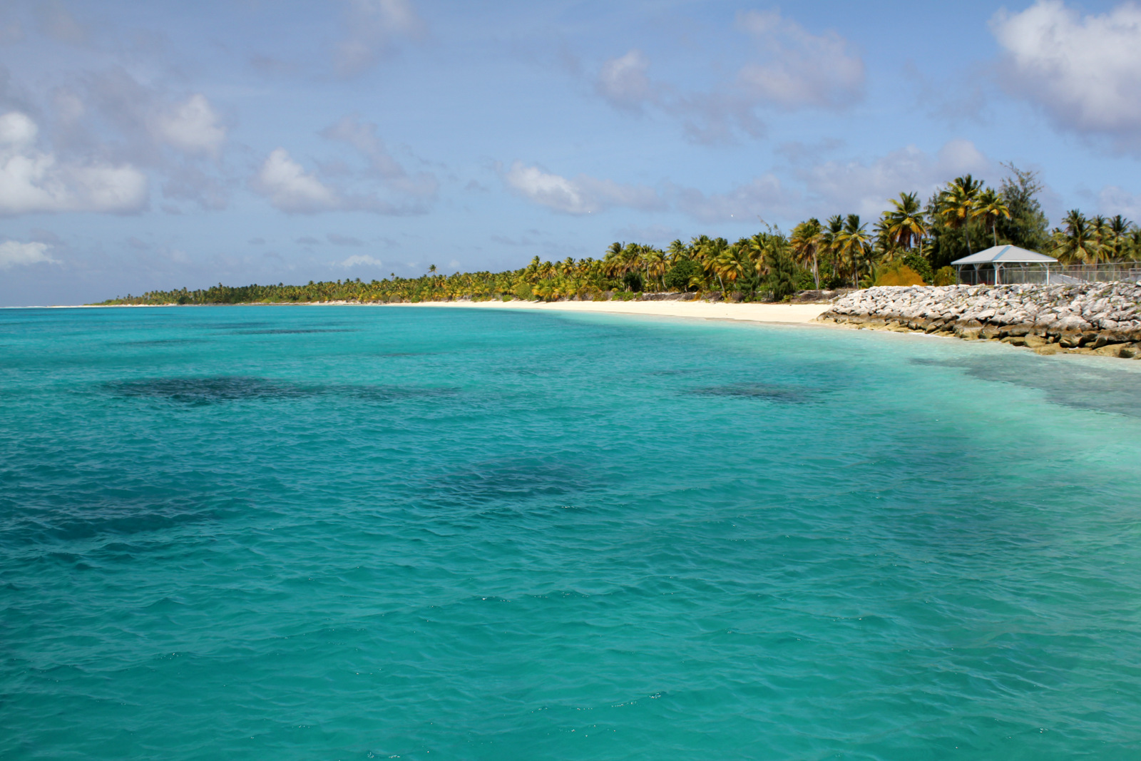 Welcome to the adventurous life of Daria Friday!: Rongelap and ...