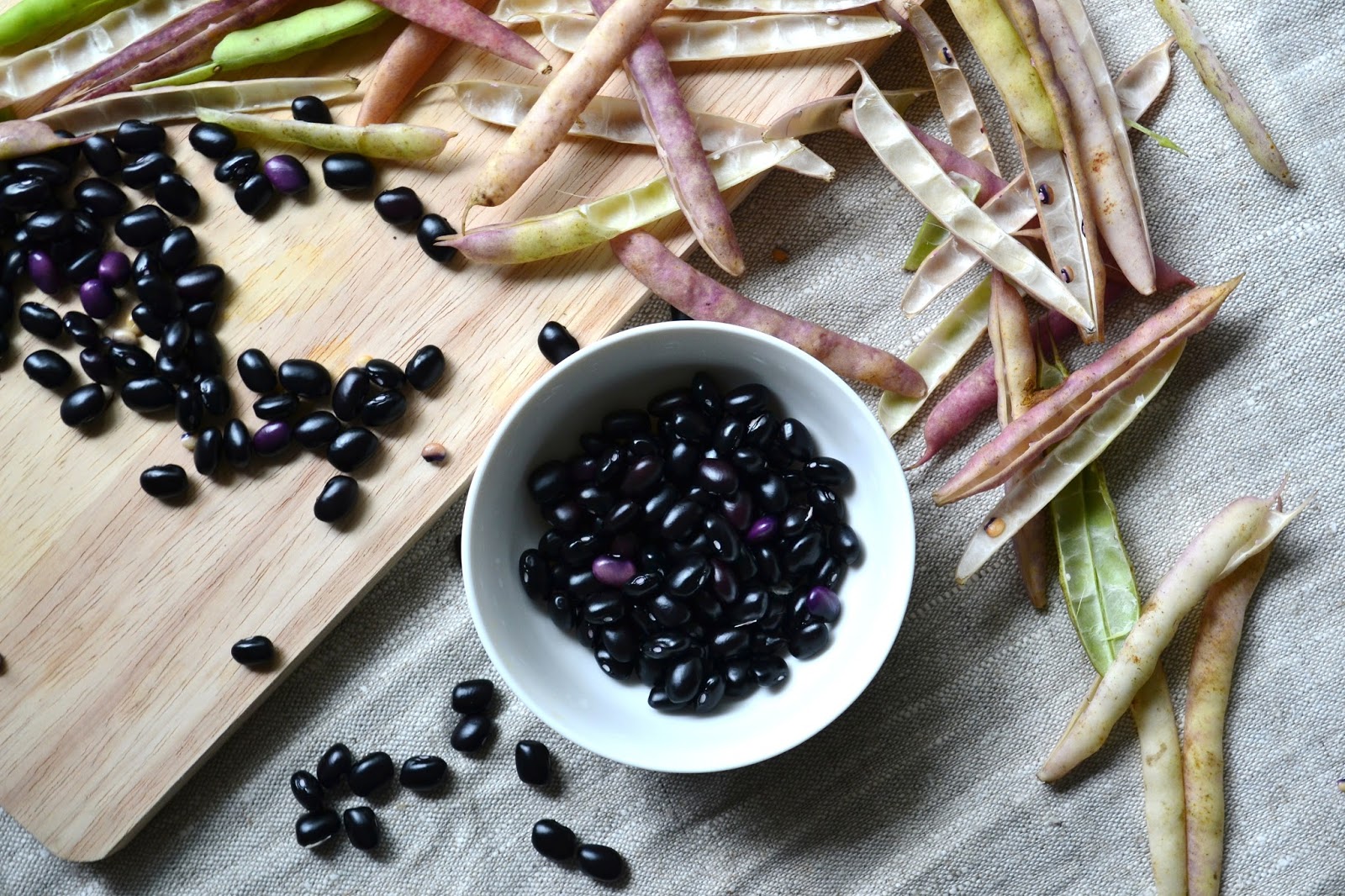 Nourish The Roots: Some Thoughts on Black Beans in the Pod