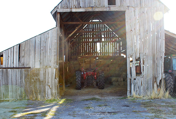 Red Tractor in Barn - Ali Biorn Photography