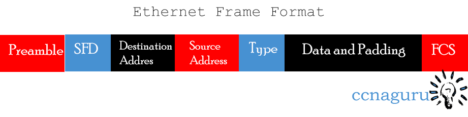 Introduction to Ethernet at Data Link Layer ~ CCNAGURU | Free CCNA ...