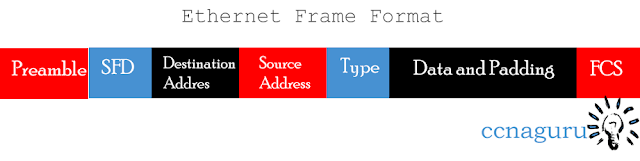 Introduction To Ethernet At Data Link Layer ~ Ccnaguru Free Ccna