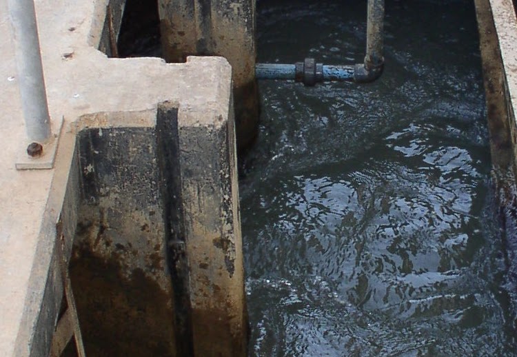 SUSTAINABLE PRODUCTIVITY: HEAVY METAL POLLUTION OF WATER RESOURCES ...