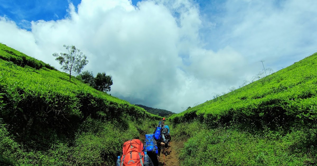 New rides on the volcano, Mount Porter, Porter Mount, Porter Mountain ...
