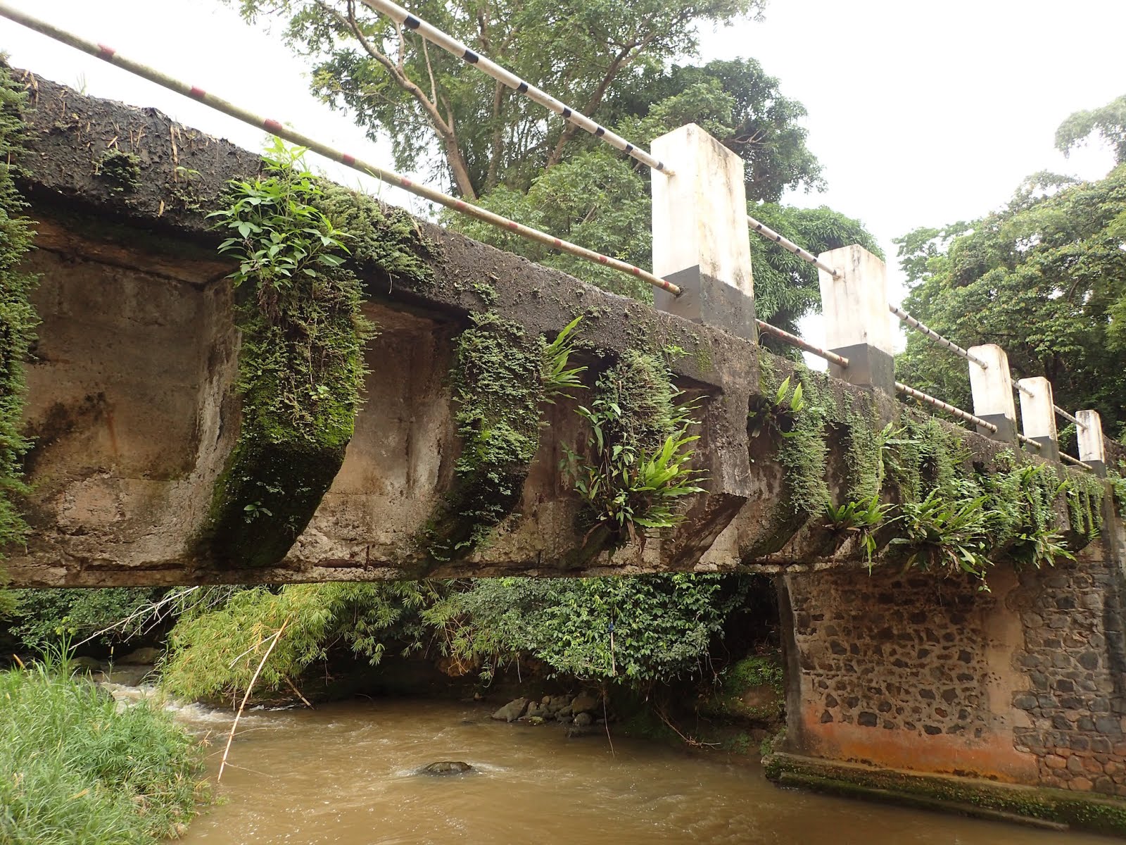 Things we did today...: The Perfect Amount Of Imminent Danger