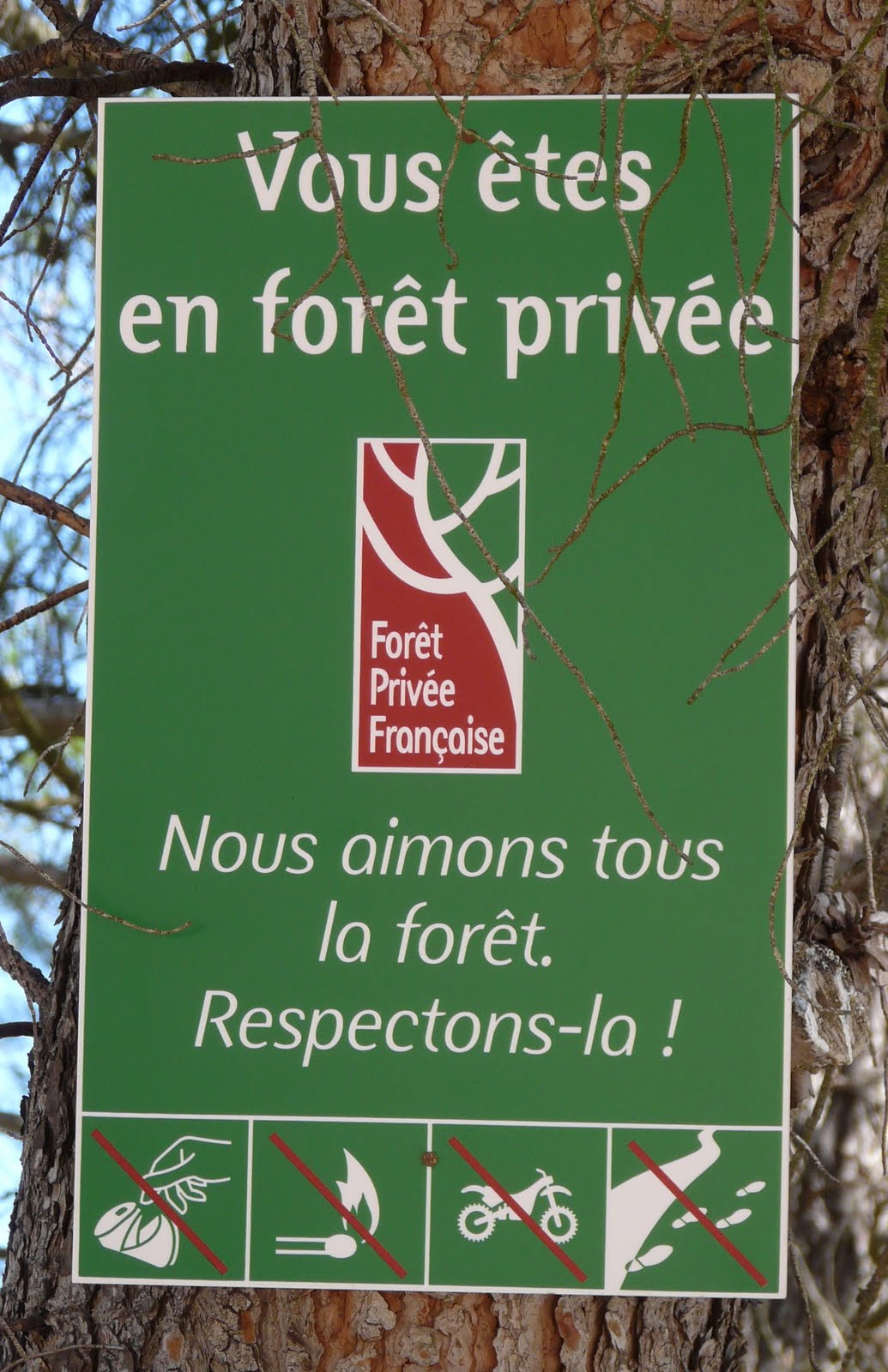 Une forêt en Provence: Forêt privée, accueil du public et réglementation