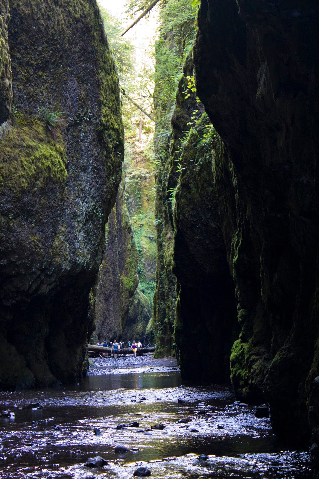 Dave Goes Outside: Wauna Viewpoint, Oneonta Gorge, and Bridal Veil falls