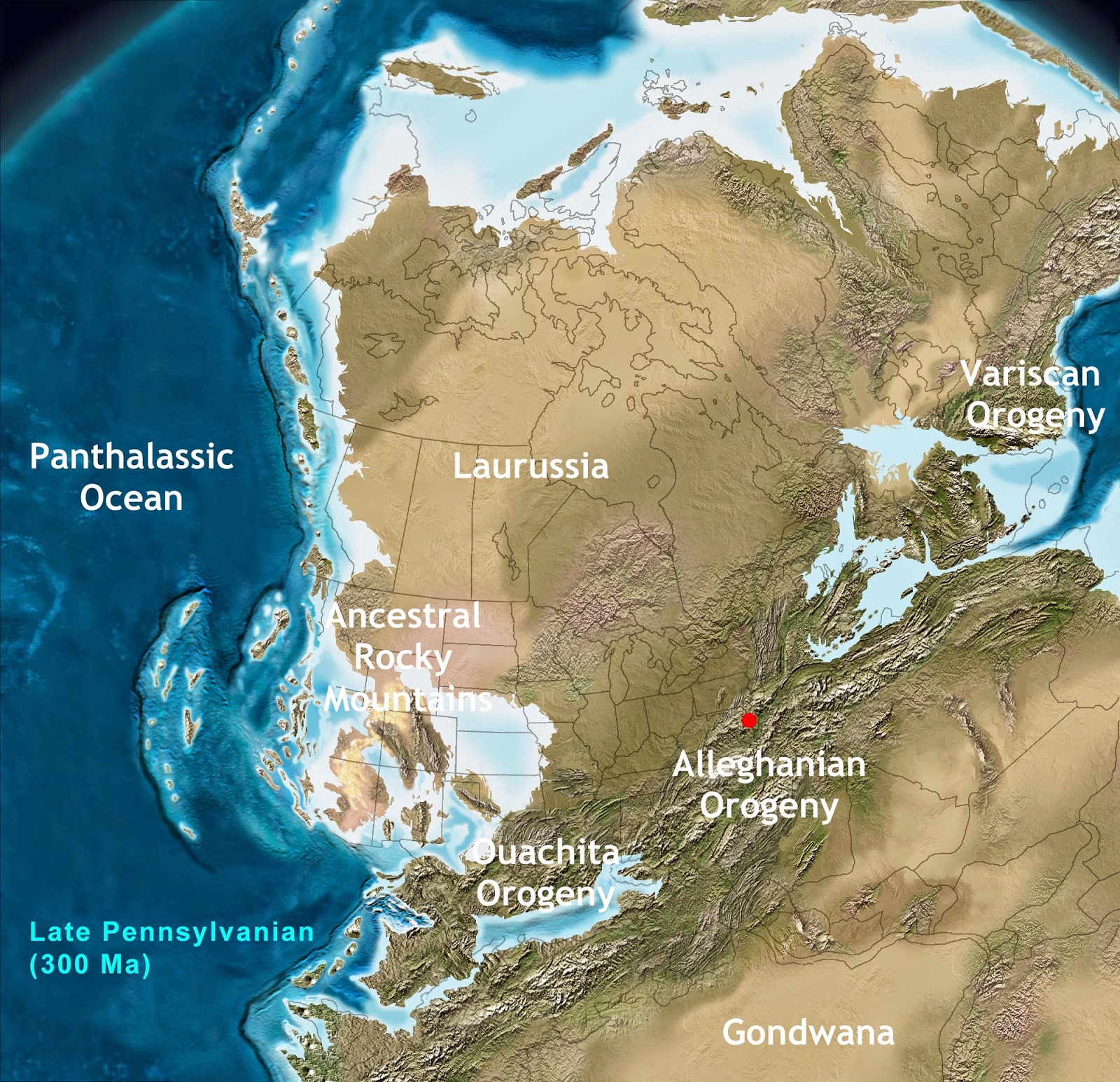 Written In Stone...seen through my lens: A Visit to the Miocene Sea at ...