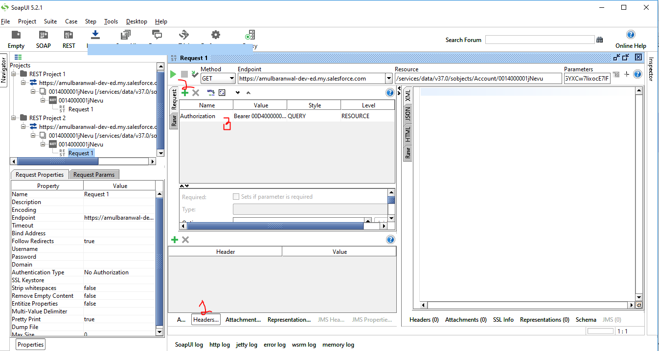 Use Salesforce REST API in Soap UI TOOL