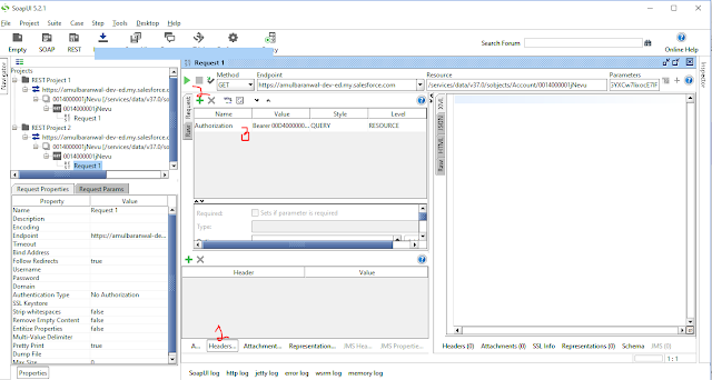 Use Salesforce REST API in Soap UI TOOL