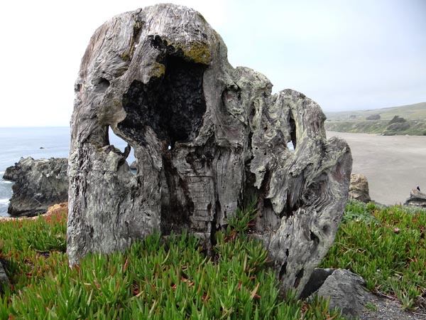 Reflections From the Fence: THE Trip, THE Encore' :: Riding the 1 ...