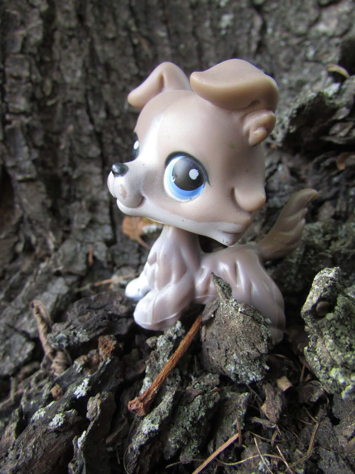 Mój świat LPS: 134. LPS: Jesienna sesja