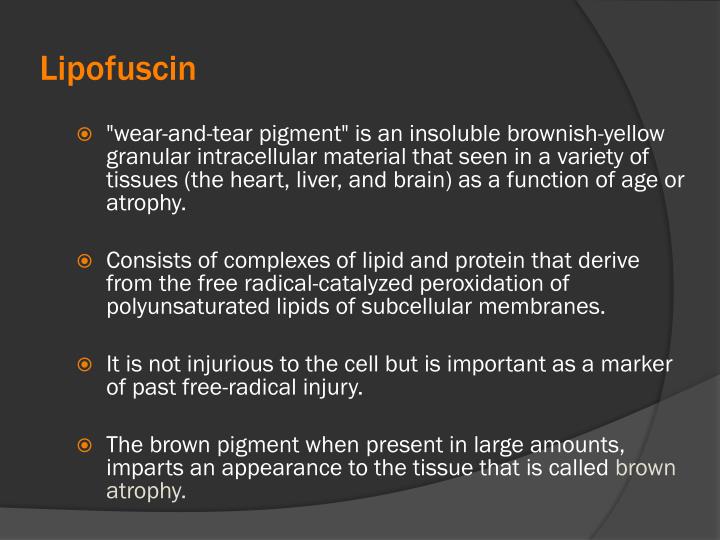 EXAMS AND ME : Lipofuscin
