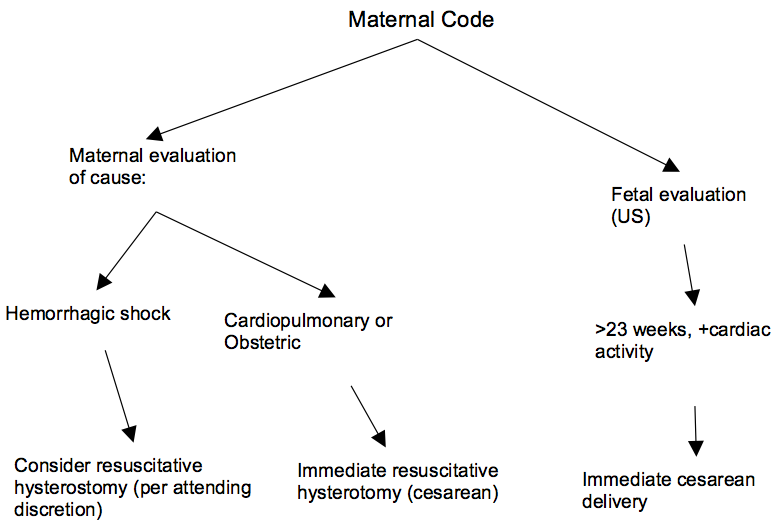 UK Trauma Protocol Manual: Management of Maternal Code (OB, Obstetric ...