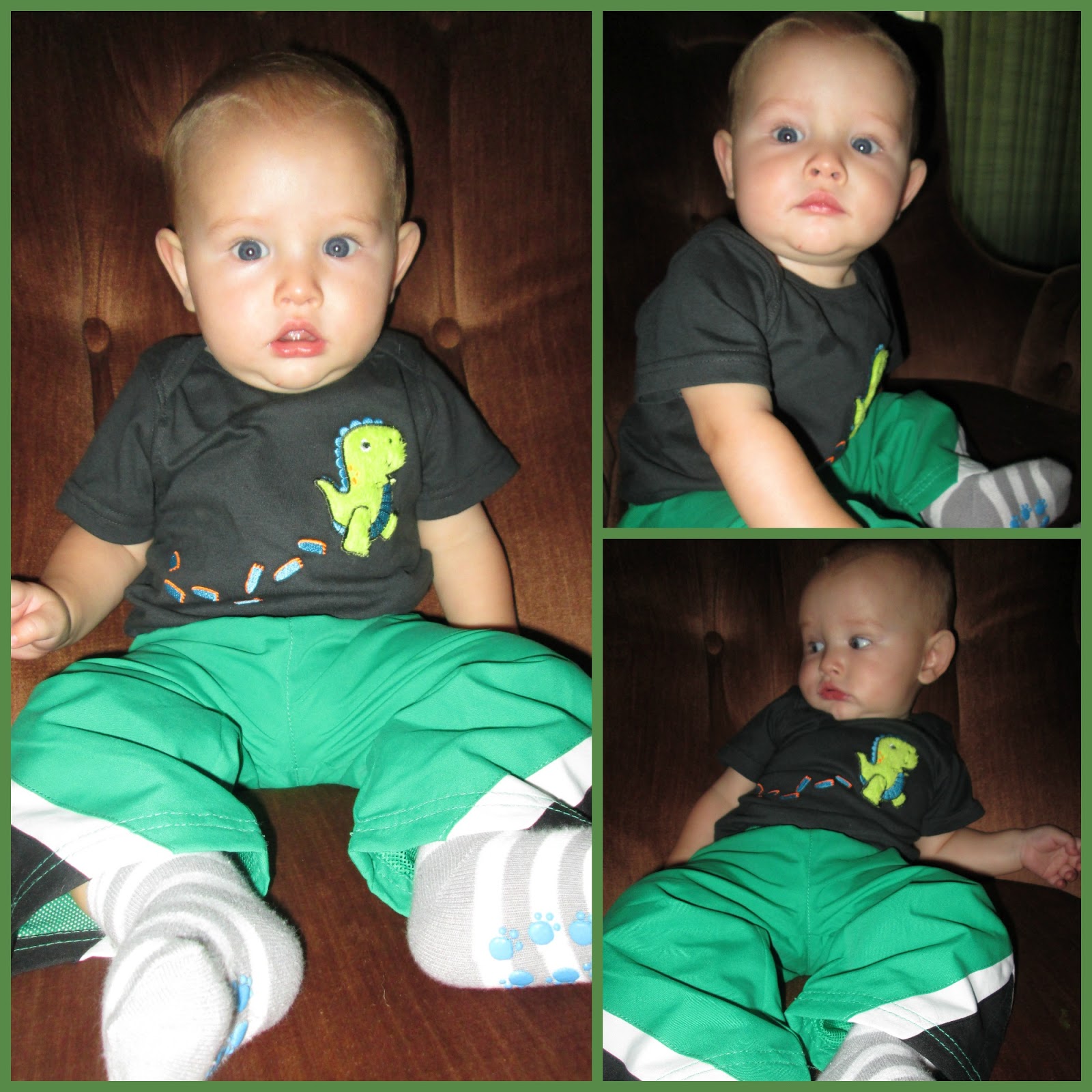 ELLISON: 31 weeks old