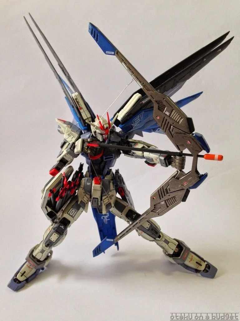 RG 1/144 Freedom Gundam RENEGADE Custom Build