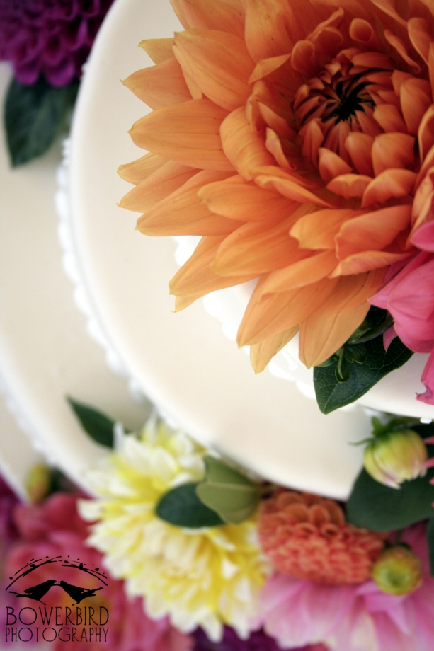 Bowerbird Photography: 6 Creative Wedding Cake Ideas