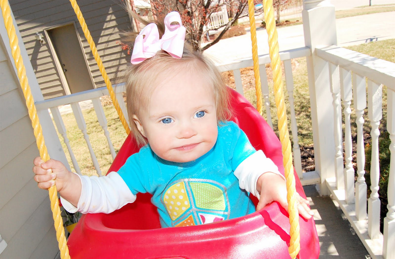 The Harnisch Family: Welcome to Holland