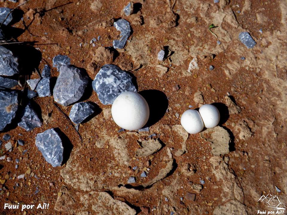 Fuui por Aí!! : La Muela Del Diablo- Bolívia