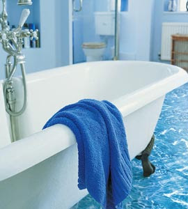 Ally Interiors : Hard Flooring