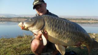 specimen angling in south africa: specimen carp angling in south africa