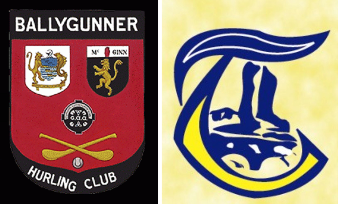 Ballygunner GAA - Alchetron, The Free Social Encyclopedia