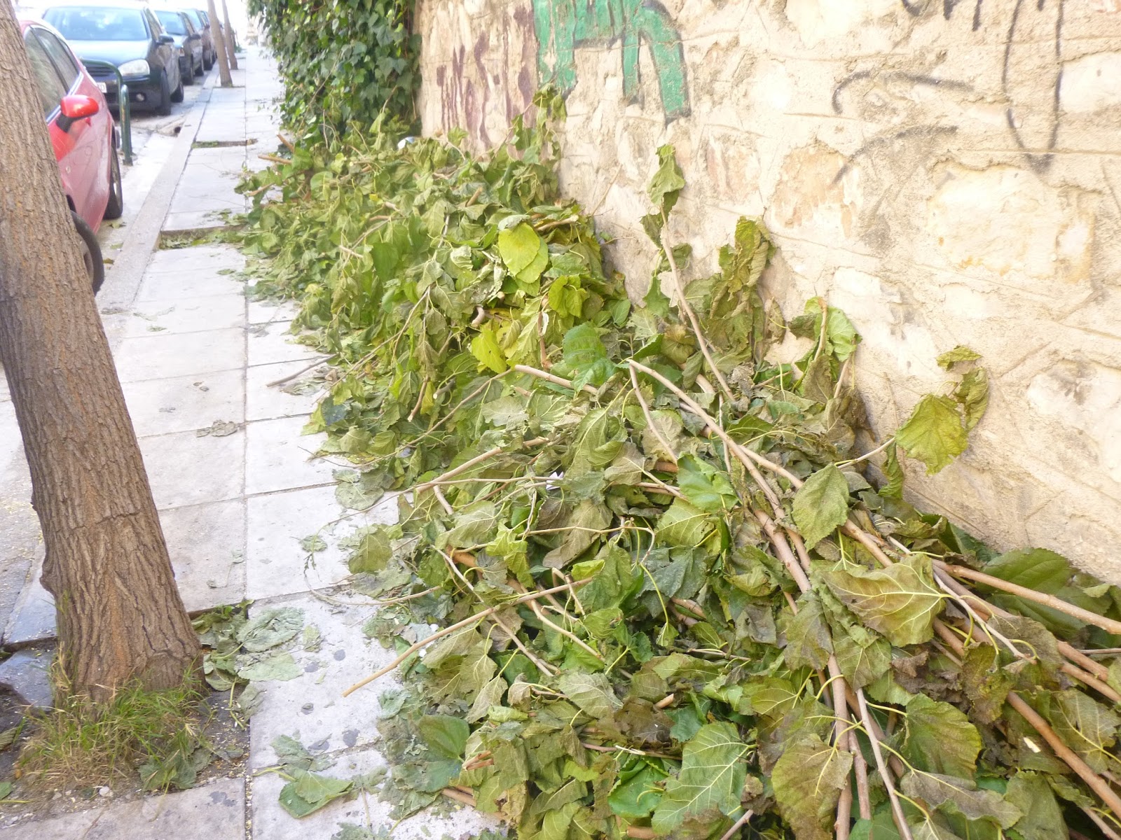 ΠΕΡΙΒΑΛΛΟΝ ΥΓΕΙΑ ΟΙΚΟΛΟΓΙΑ: ΝΑ ΓΙΑΤΙ ΕΙΣΑΓΟΥΜΕ ΦΥΛΛΟΧΩΜΑ, ΑΠΟ ΤΟ ΕΞΩΤΕΡΙΚΟ