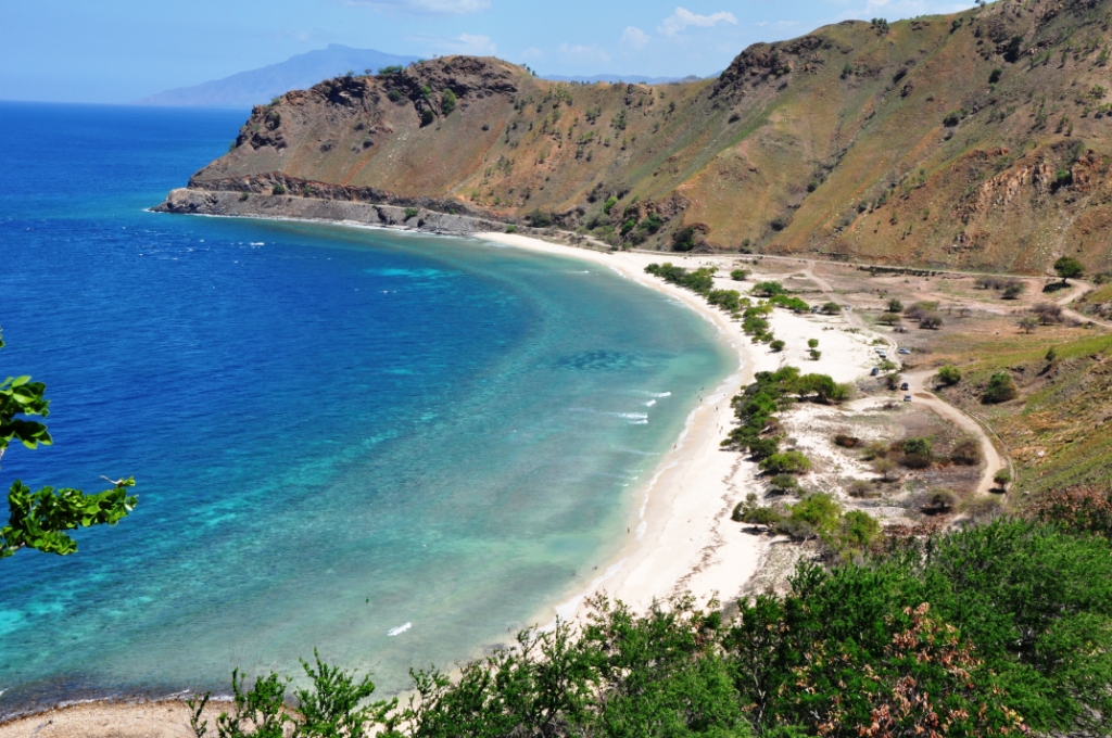 Intercâmbio Brasil / Ásia: Semeando sementes: olho brasileiro 4 ...