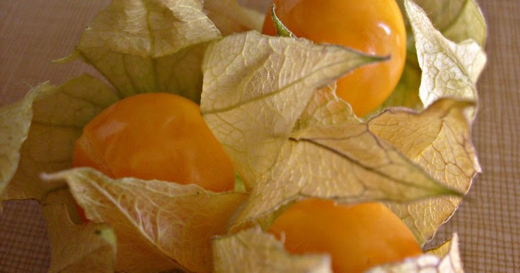 Camapu, planta da região amazônica, estimula produção de novos neurônios