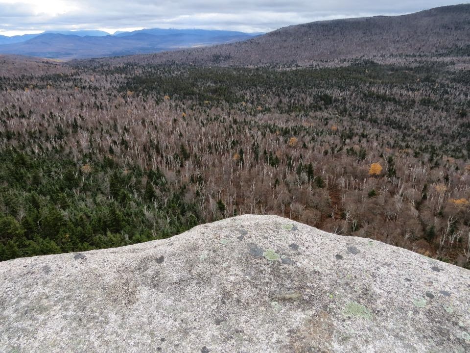 Outdoor Diversion: Rogers Ledge via Mill Brook Trail