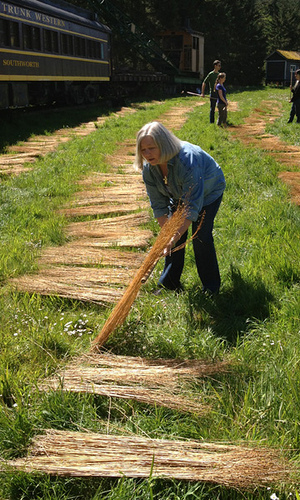 flax to linen victoria bc: Retting