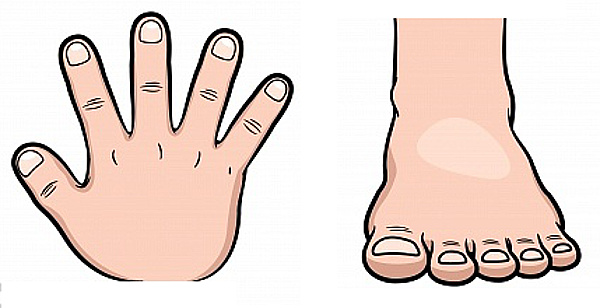 Inglés en infantil.: UNIT 1 Lesson 1 (4 años)