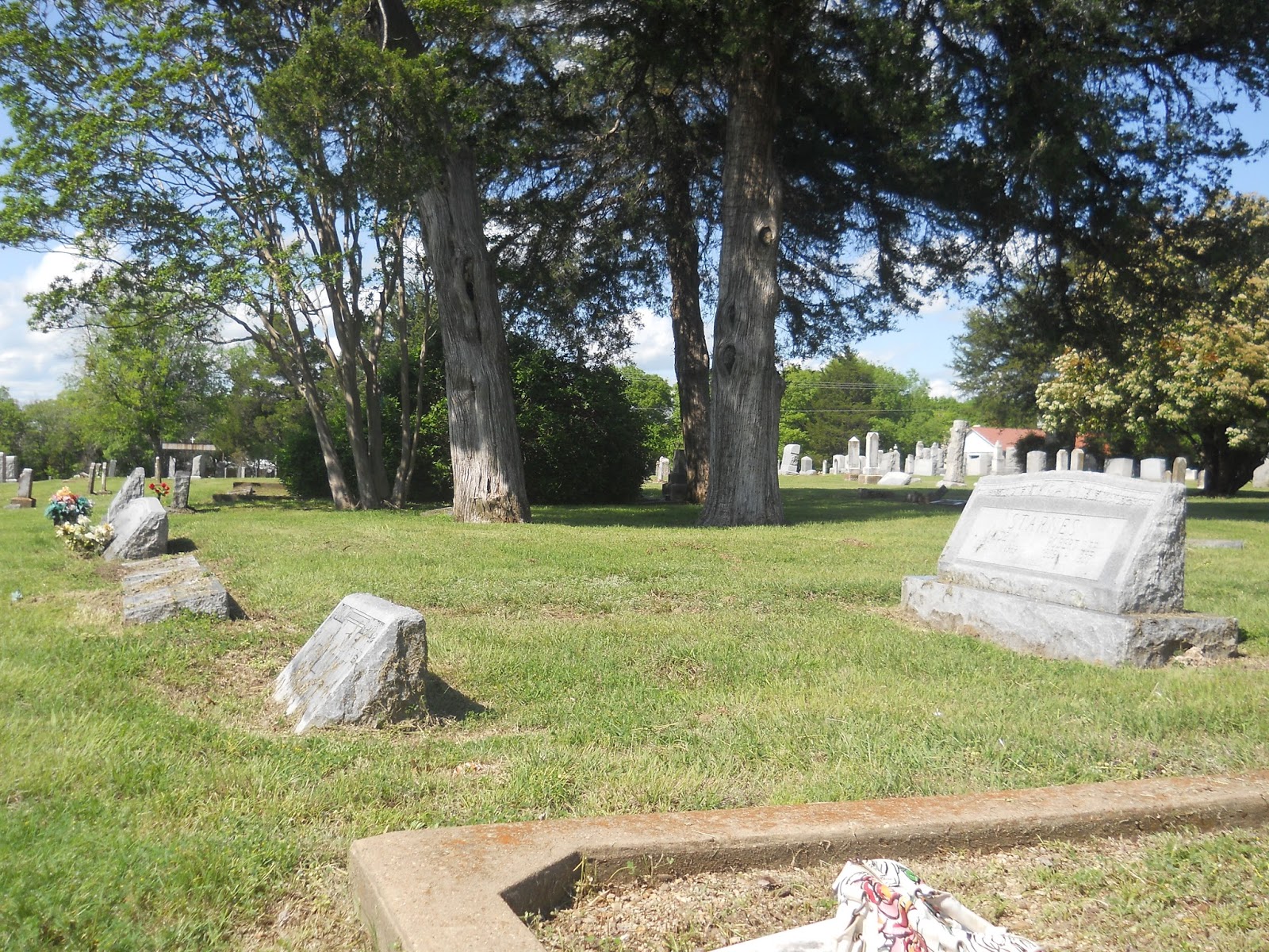 My Emphemeral Rose: Cannon Cemetery