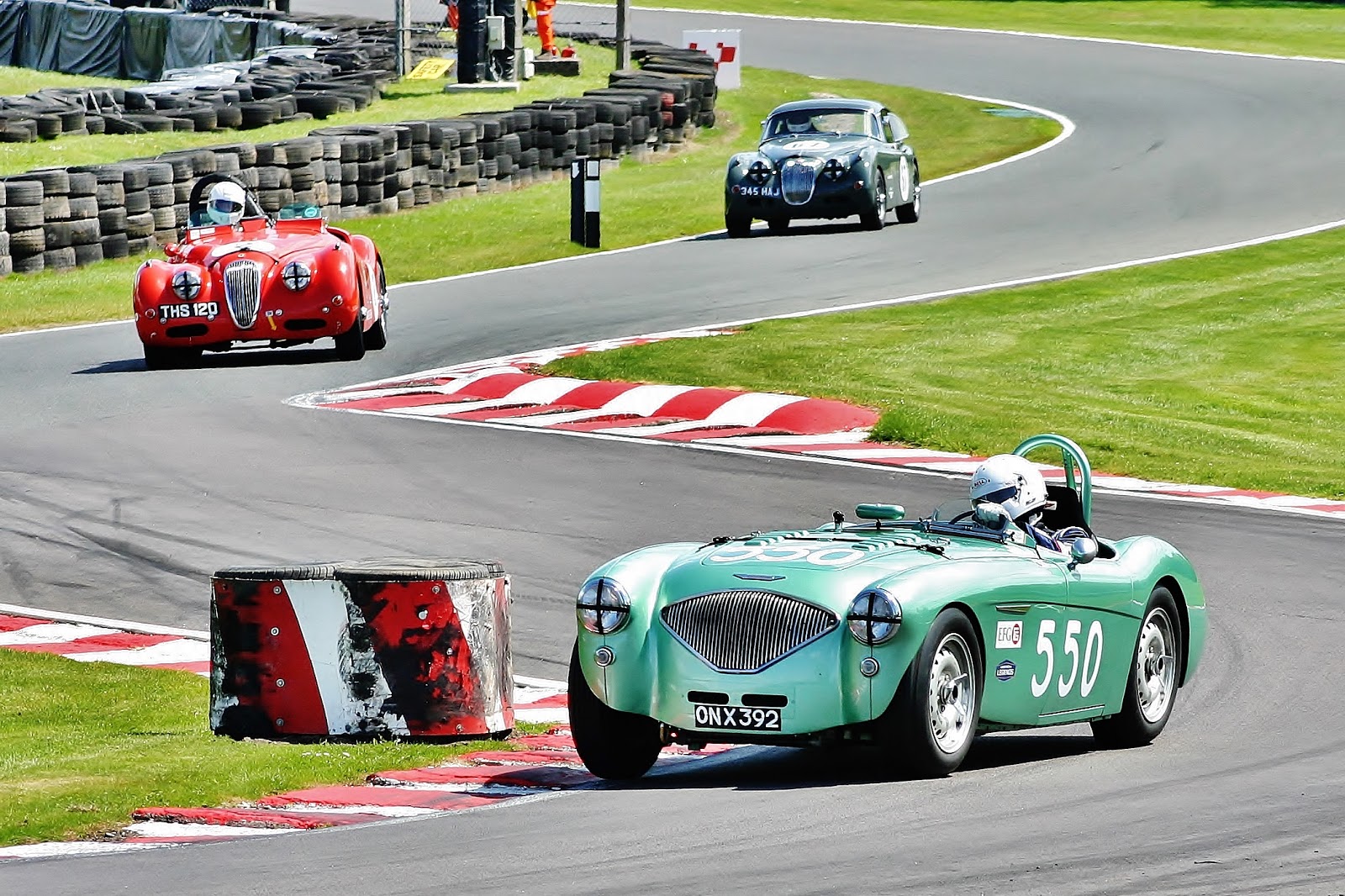 Ferraris and Other Things: Austin Healey 100/4