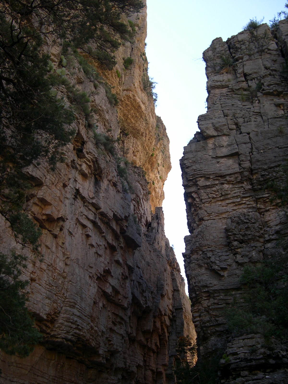 Texas Mountain Trail Daily Photo: Devil's Hall Trail, part of the Peak ...