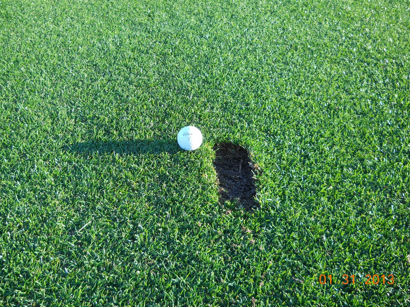 The Ford Plantation Club Agronomy Blog: Please Replace Your Divot