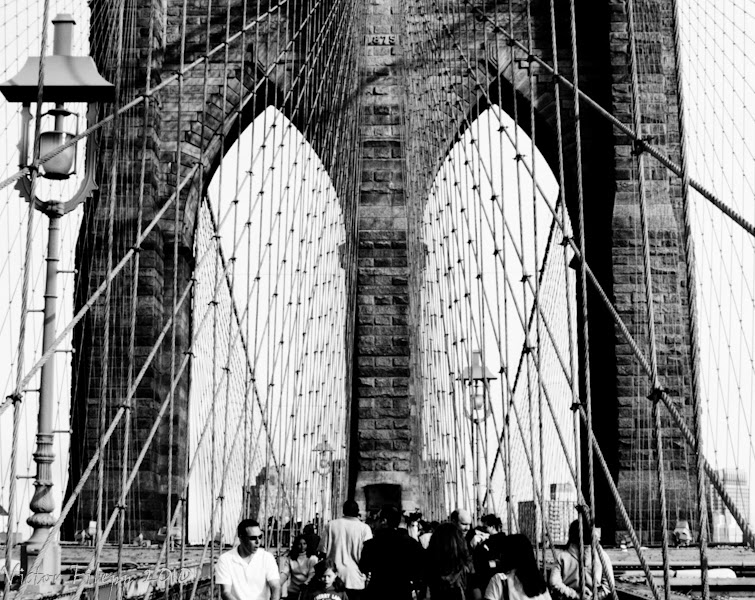 Paul Strand Photography