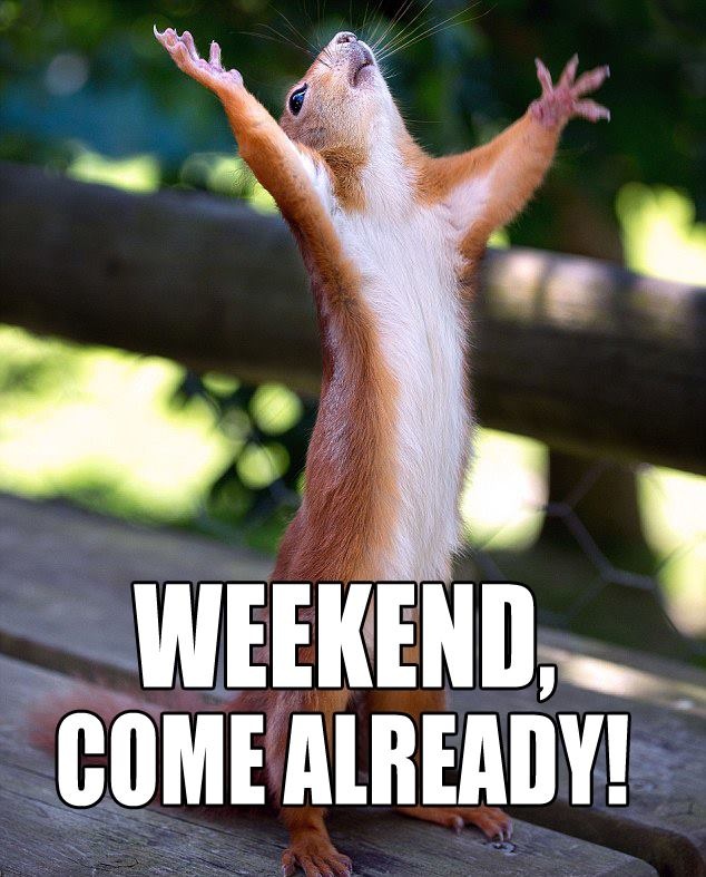 An Indian Writer | Poonam Bhardwaj