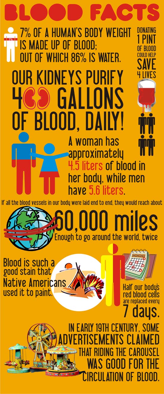 BASIC THINGS WE NEED TO KNOW ABOUT THE HUMAN BLOOD - Discreet Magazine