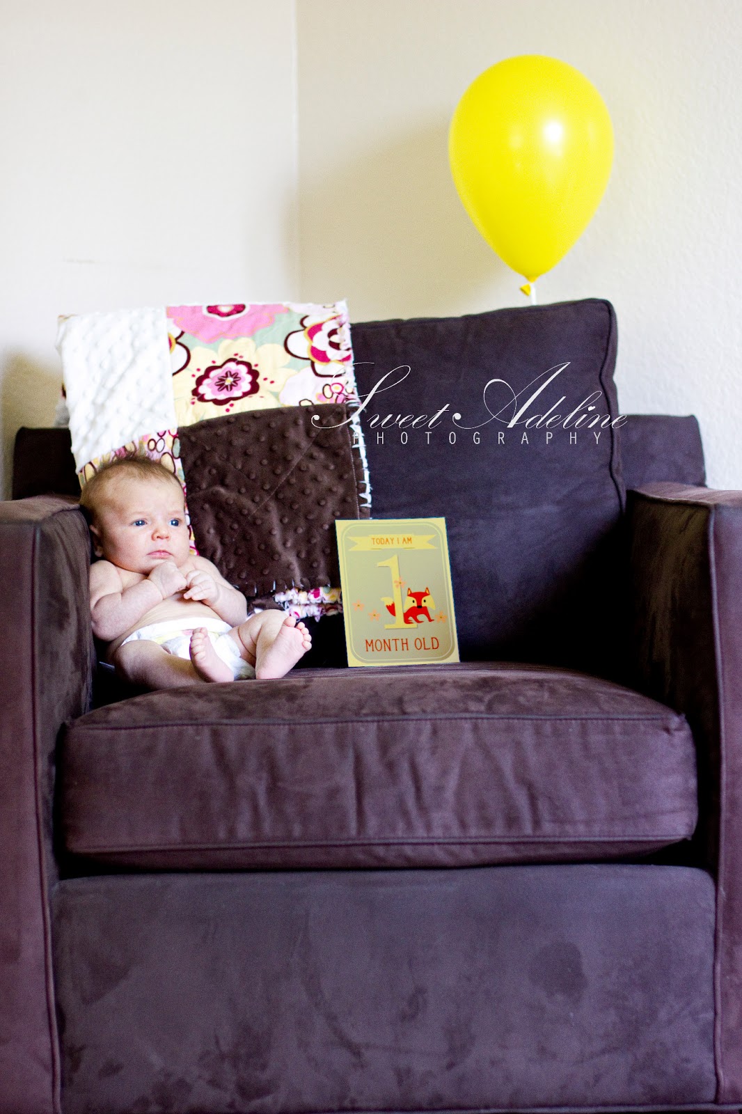 Sweet Adeline Photography