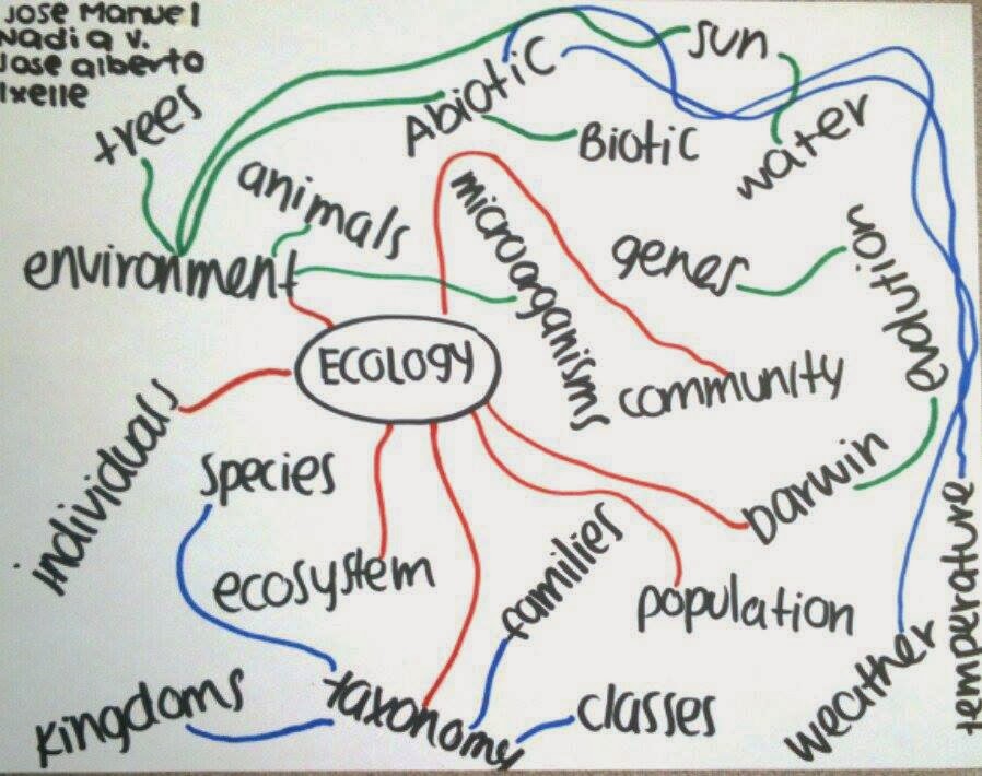 Ecology 101: Brainstorm