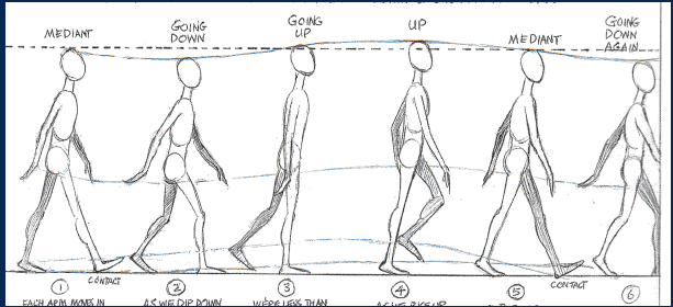 LEAP OF FAITH: Animating walk cycle experiments.