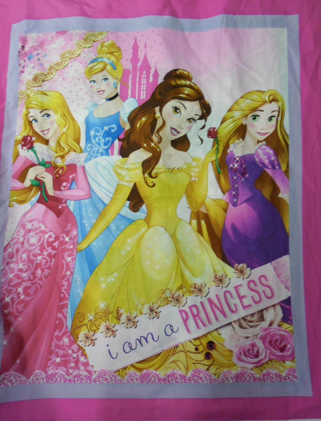 Village Books and Crafts: Disney panels