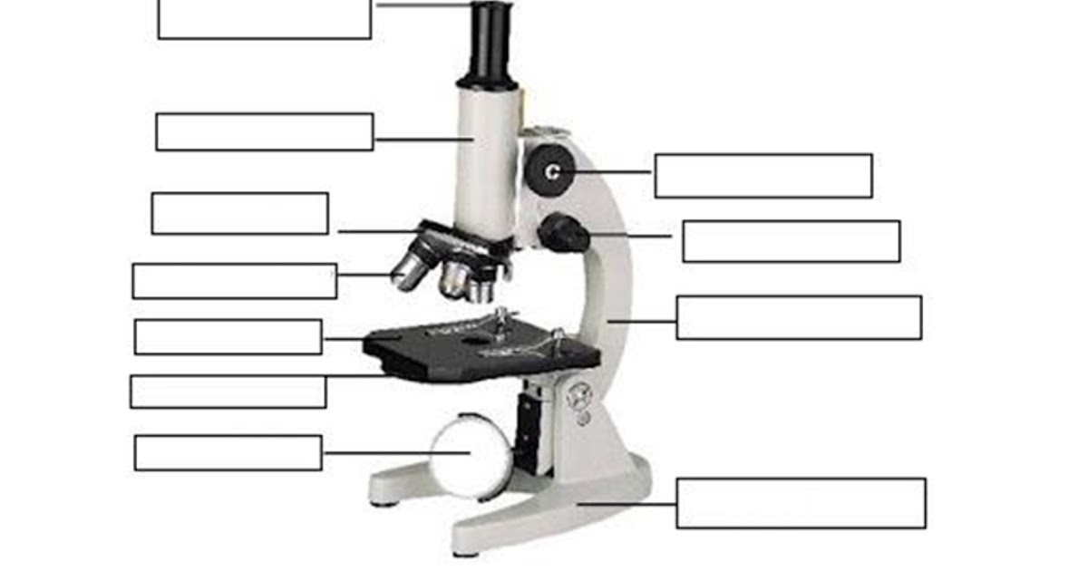 C.T. 2do: Guía de Práctica N° 1. Microscopio