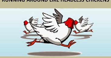 El Clemente Inglés: MARTES - EXPRESIONES ("Running around like headless ...